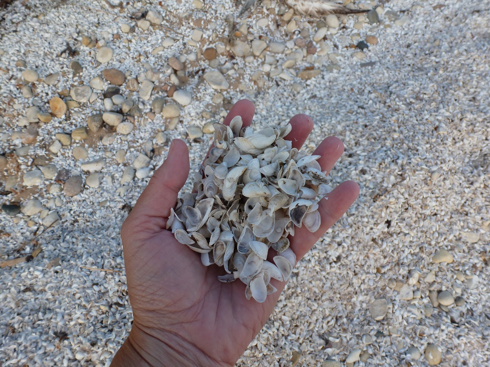 The 1,000-Mile Great Lakes Adventures: Handfuls of Lake Huron