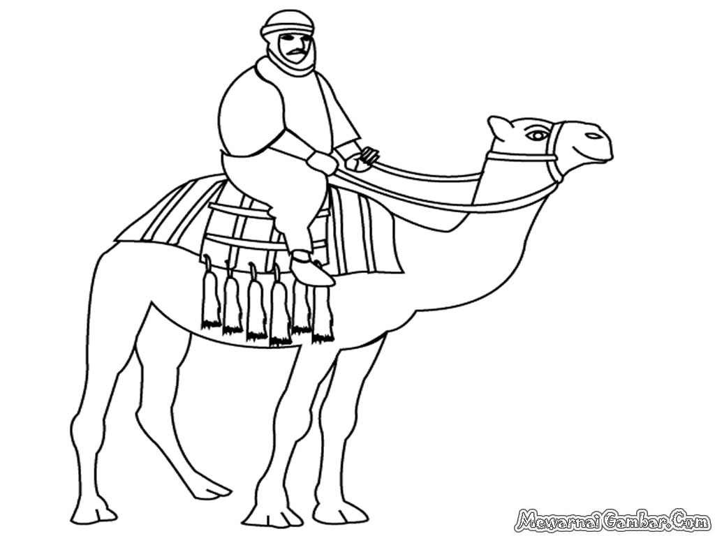 Gambar Unta Untuk Diwarnai | Mewarnai Gambar