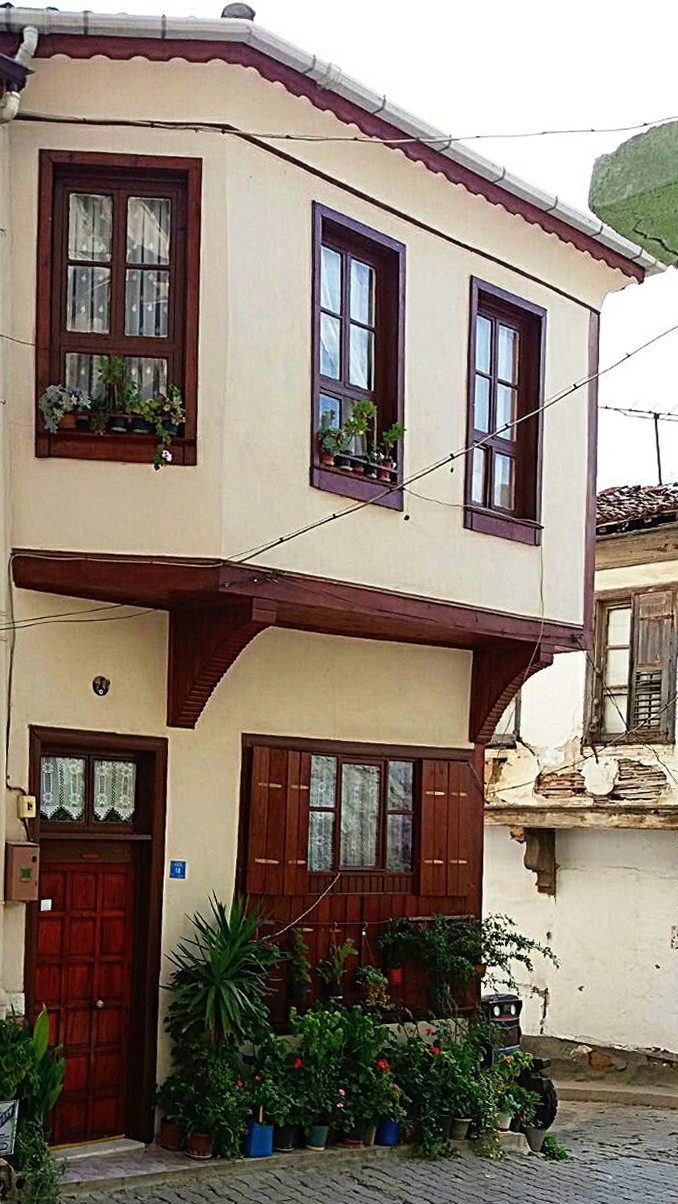 Hiçlikte Bir An: Tirilye-Trilye-Trilya-Zeytinbağı