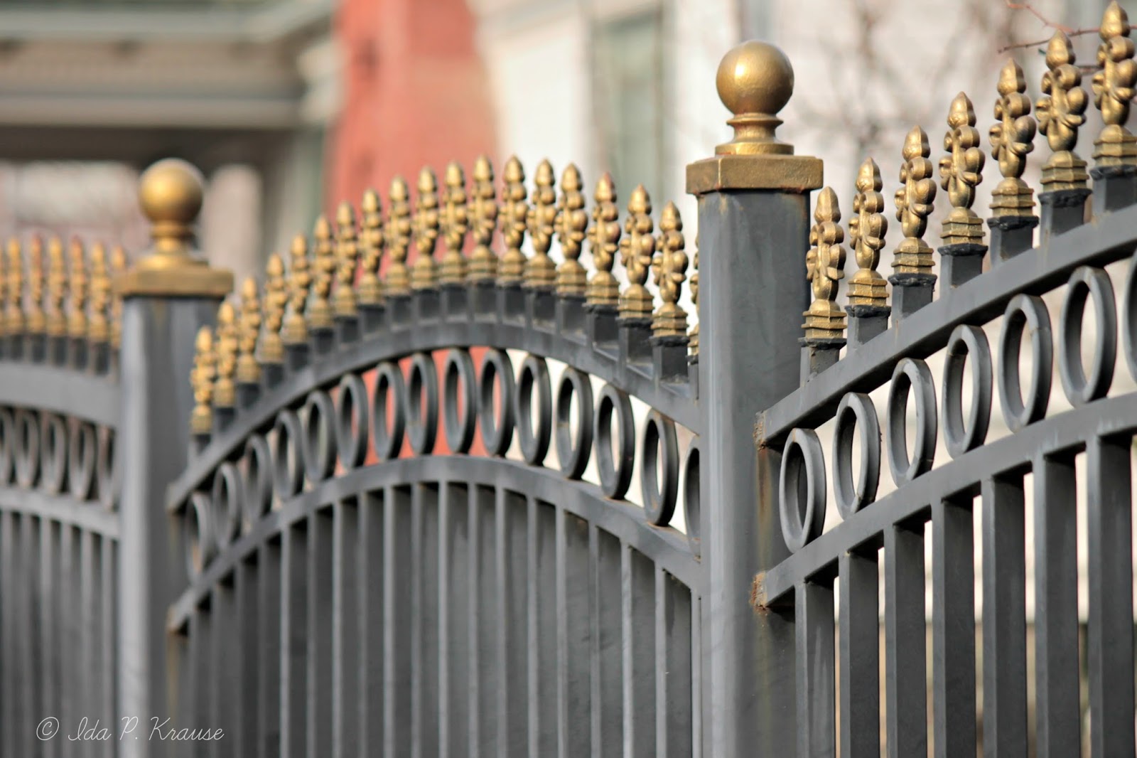 Wishes, Dreams & Other Things: Good Fences #50