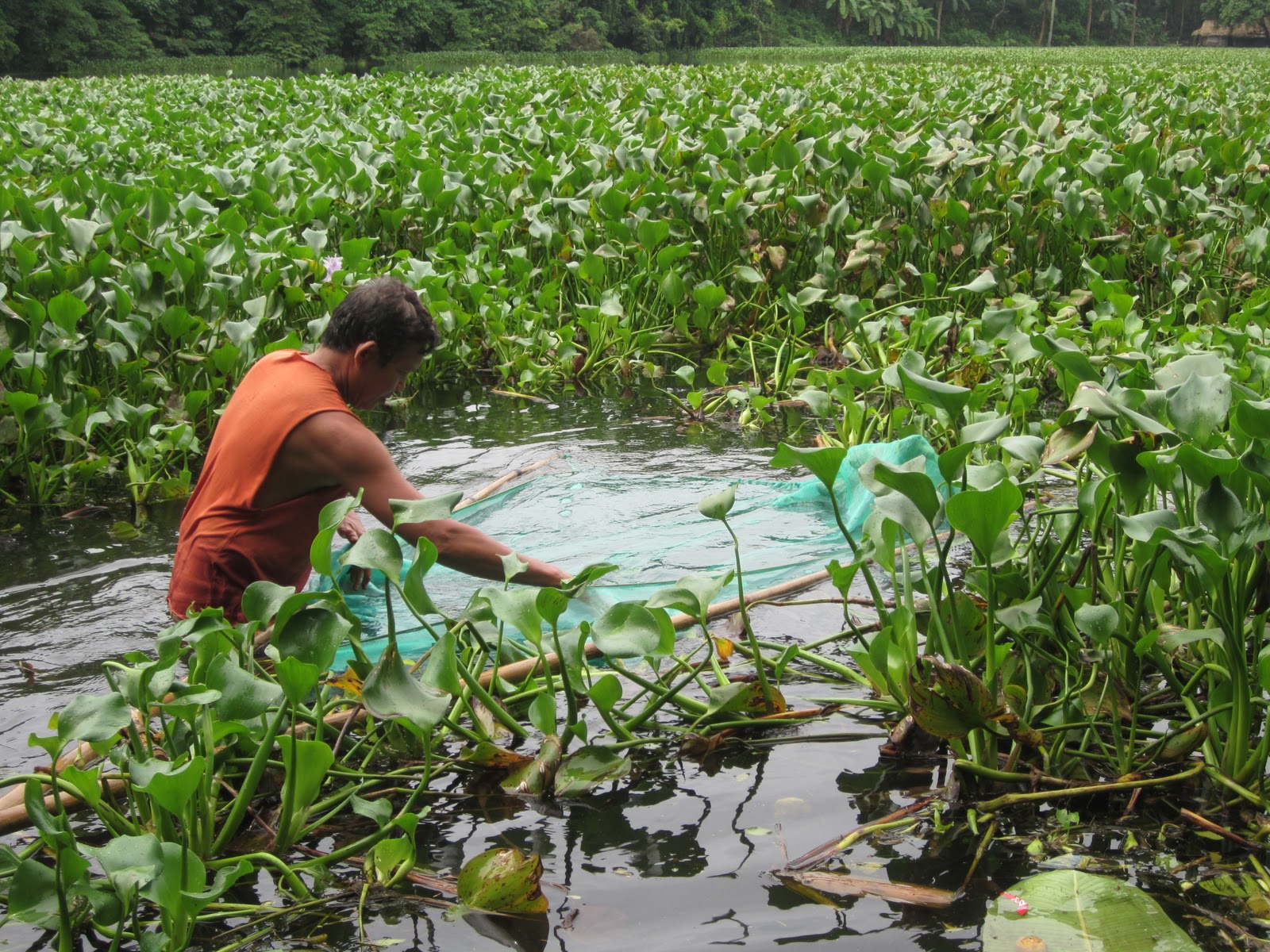 Sinarapan sa Buhi: Photo Gallery