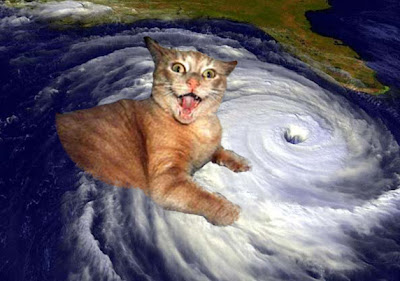 Adrenal Serenade: America is a Fancy Feast for Chaos