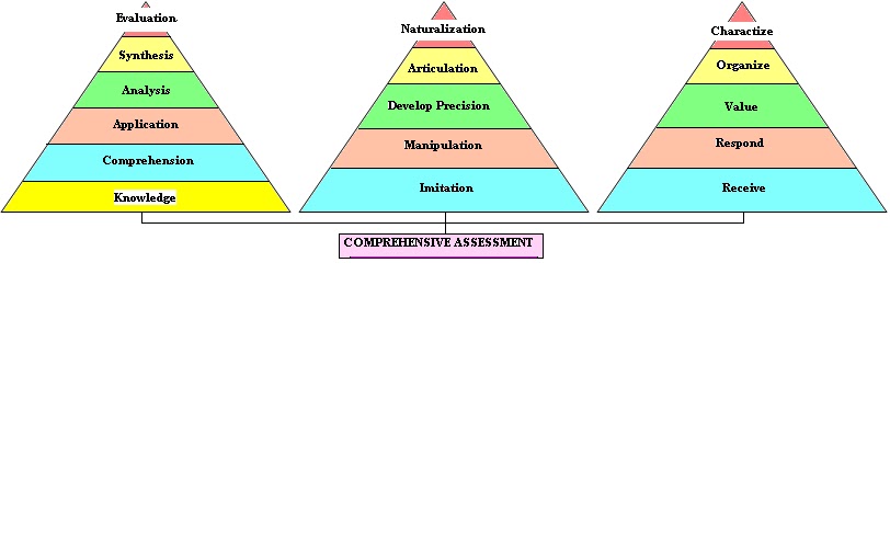 Pendidikan Jasmani Kesihatan, Sains Sukan: COMPREHENSIVE ASSESSMENT FOR ...