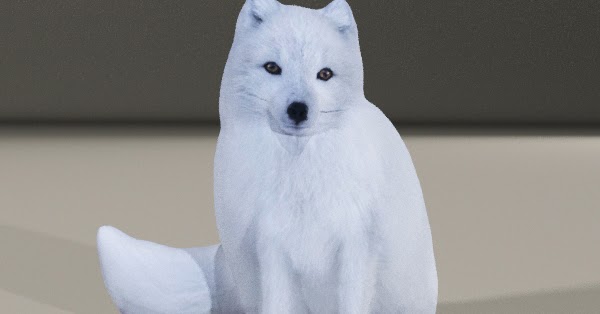 Digital Creations - Poser and DAZ Studio content: FREE Arctic Fox Prop ...