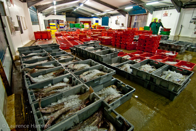Through the Gaps! - Newlyn Fishing News: Penultimate fish market for ...