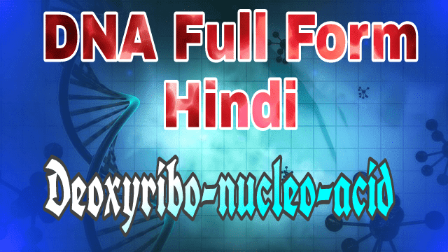 DNA Full Form In Hindi DNA Ki Full Form dna-full-form-in-hindi-dna-ki-full-form