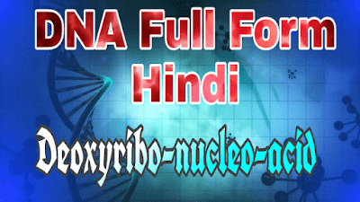 हिंदी मे जाने DNA Full Form in Hindi | DNA Ki Full Form
