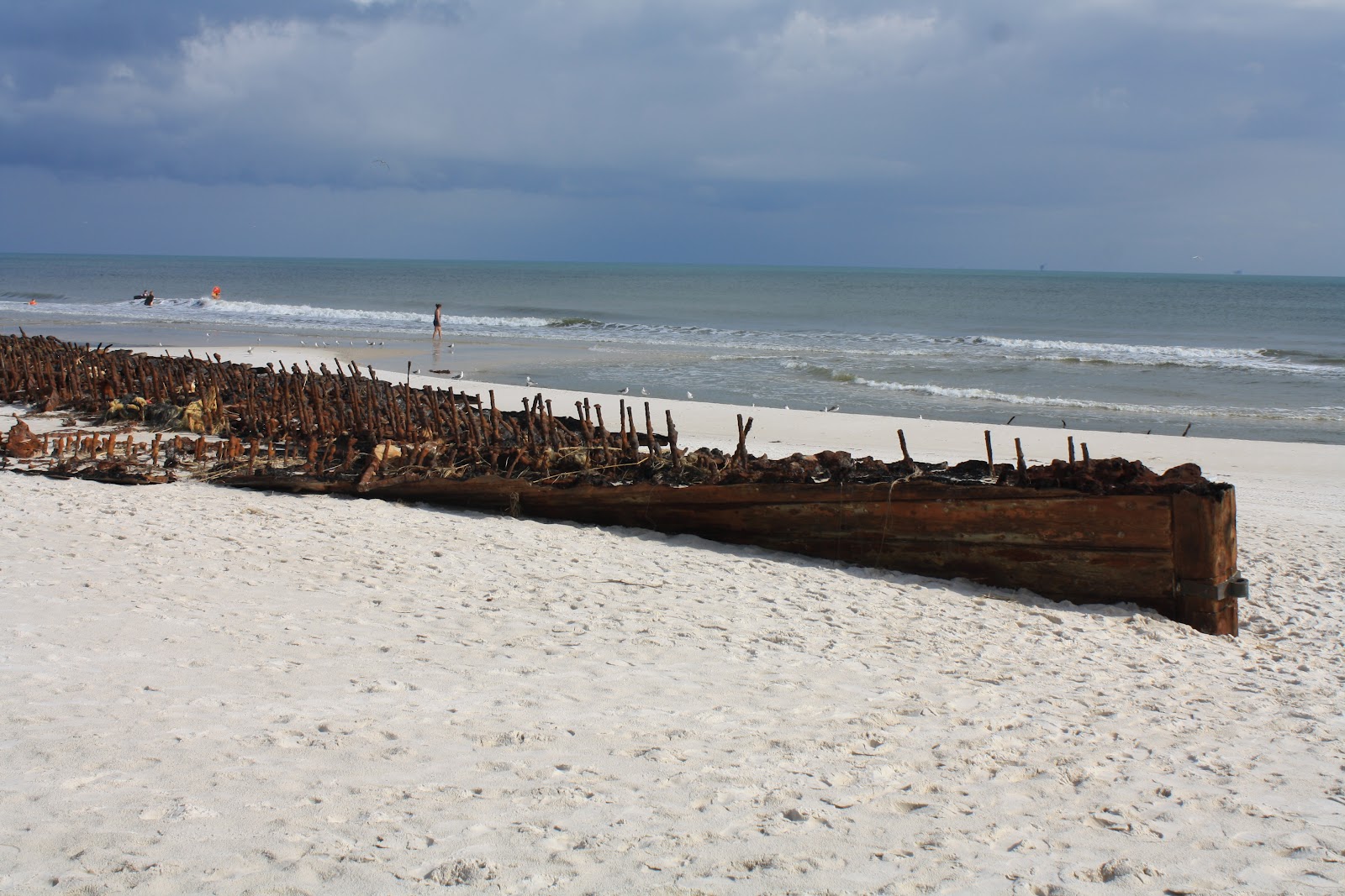 Coastal Charm: Look Who Just Keeps Showing Up