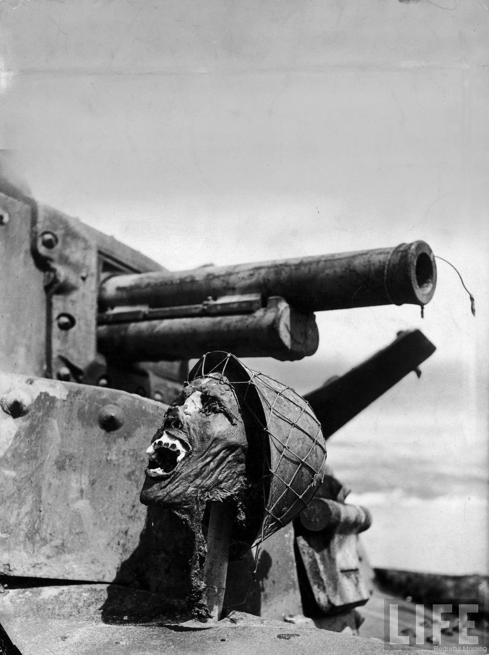 Watch Your Favorite: The Most Shocking Pics OF World War 2