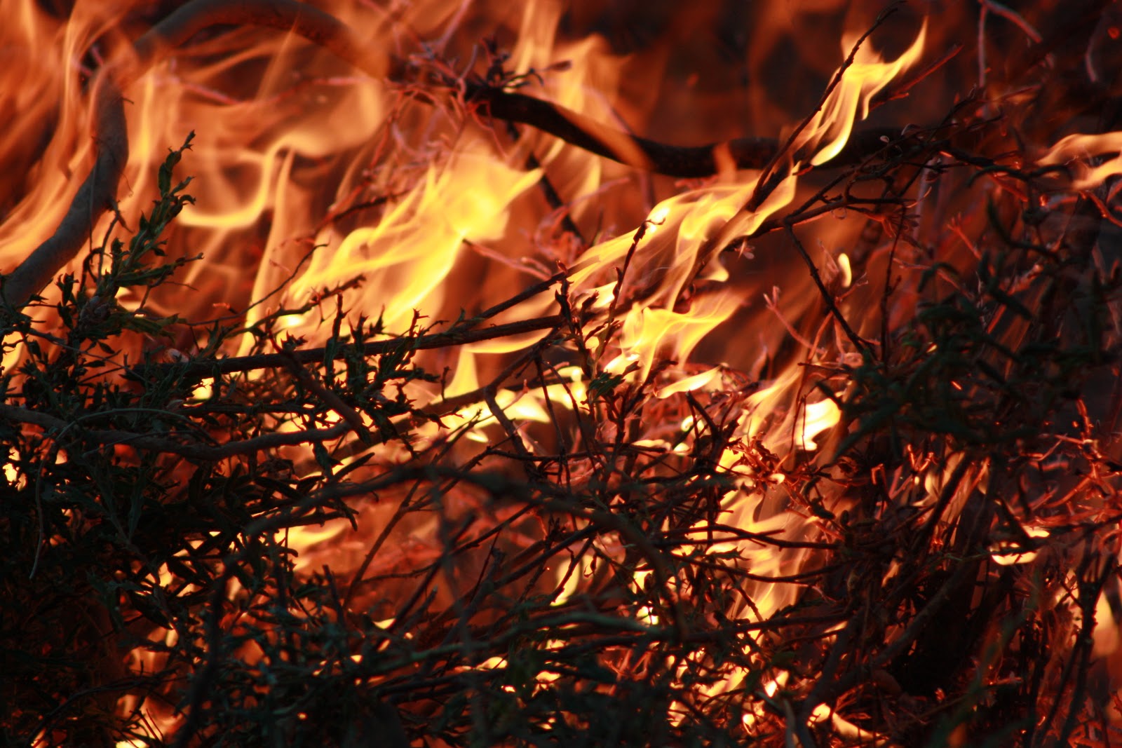 Corpo de Bombeiros de Bragança: Queimas de sobrantes da Agricultura