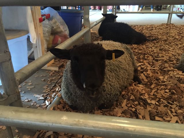 A Really Good Yarn: Barn Full of Animals