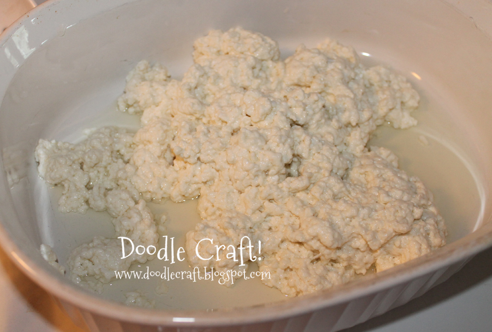 Homemade Mozerella Cheese tutorial!