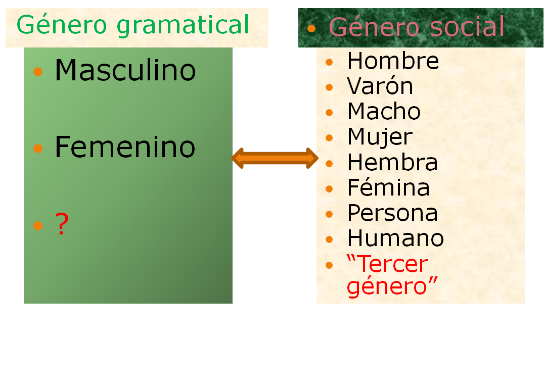 El padre que parió. El género social y el género gramatical