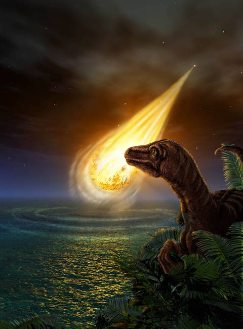 Why dinosaurs became extinct? | Earth Blog