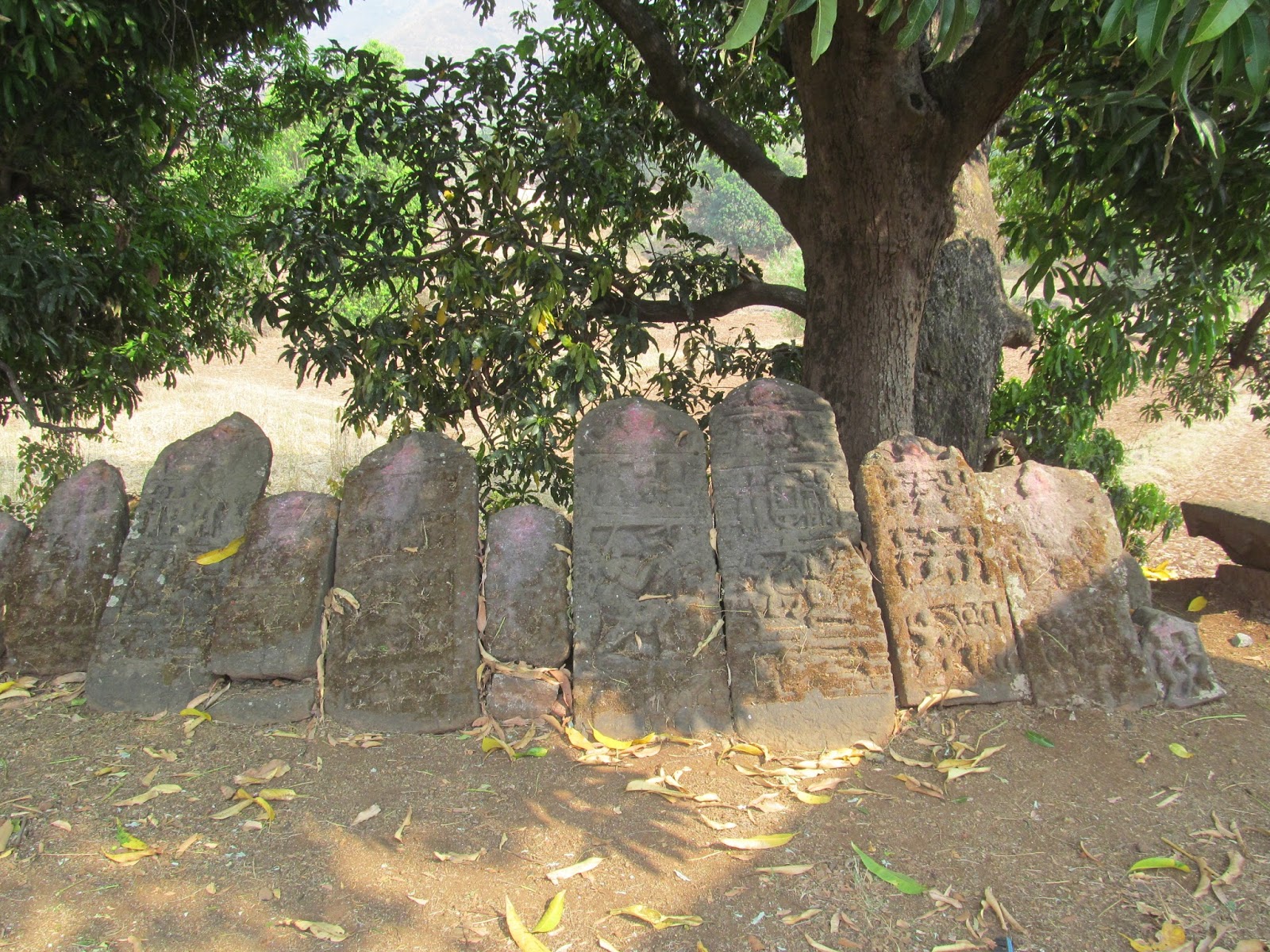 My Priceless Experience !!!: Kamalgad Trek!!!