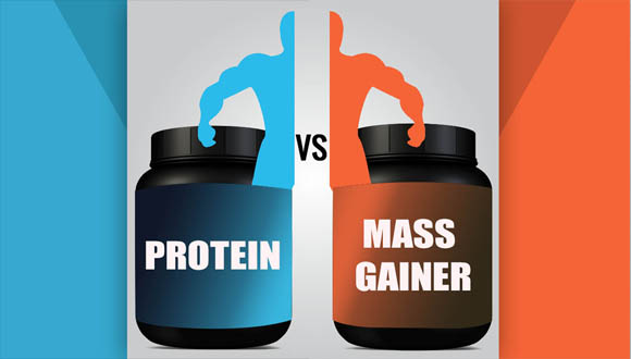 star of bodybuilding: PROTEIN VS MASS GAINER
