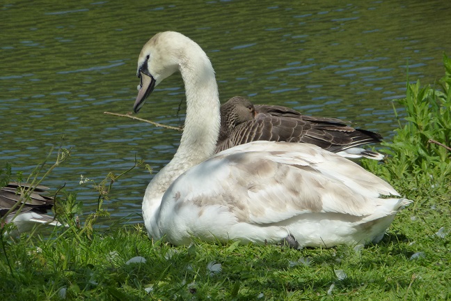 YourColchester.co.uk Blog