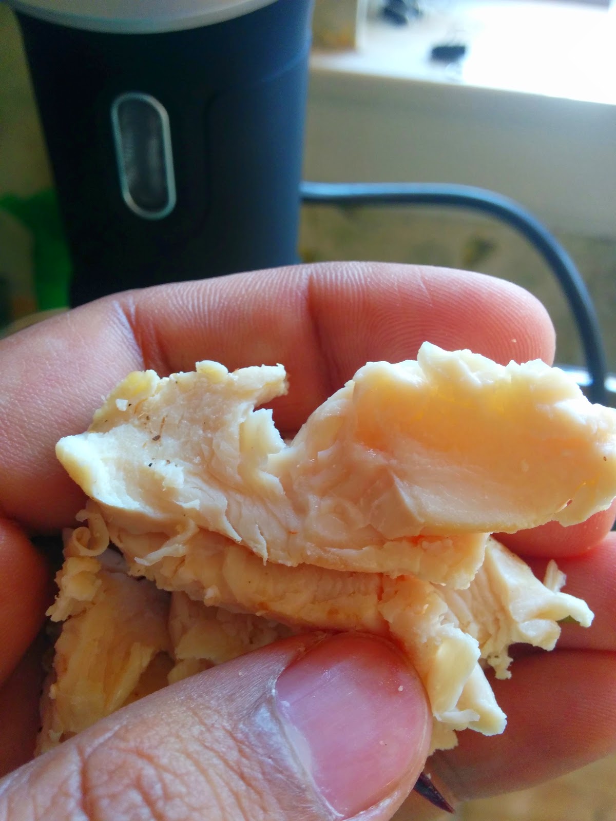 Thadeechin's Favorite Stuff: Sous Vide: First Attempt (one of the most ...