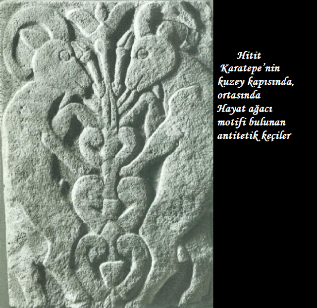 PROMETHEUS: HAYAT AĞACI - DOĞUM, YAŞAM, ÖLÜM