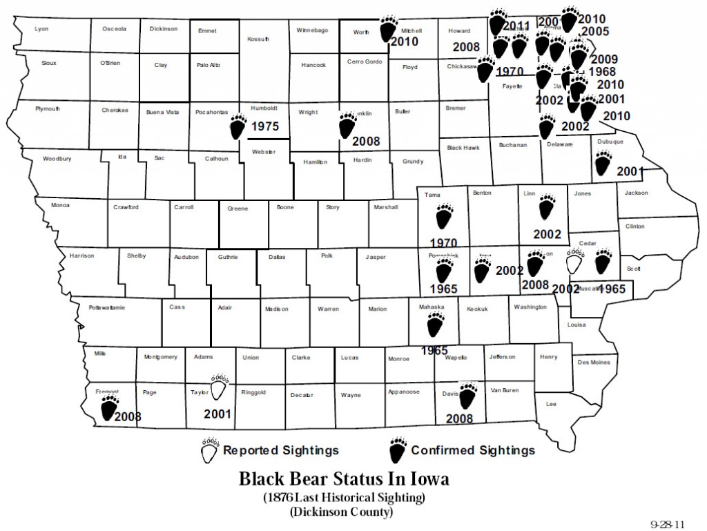 Timber Life: Northeast Iowa Bear Sighting 2012