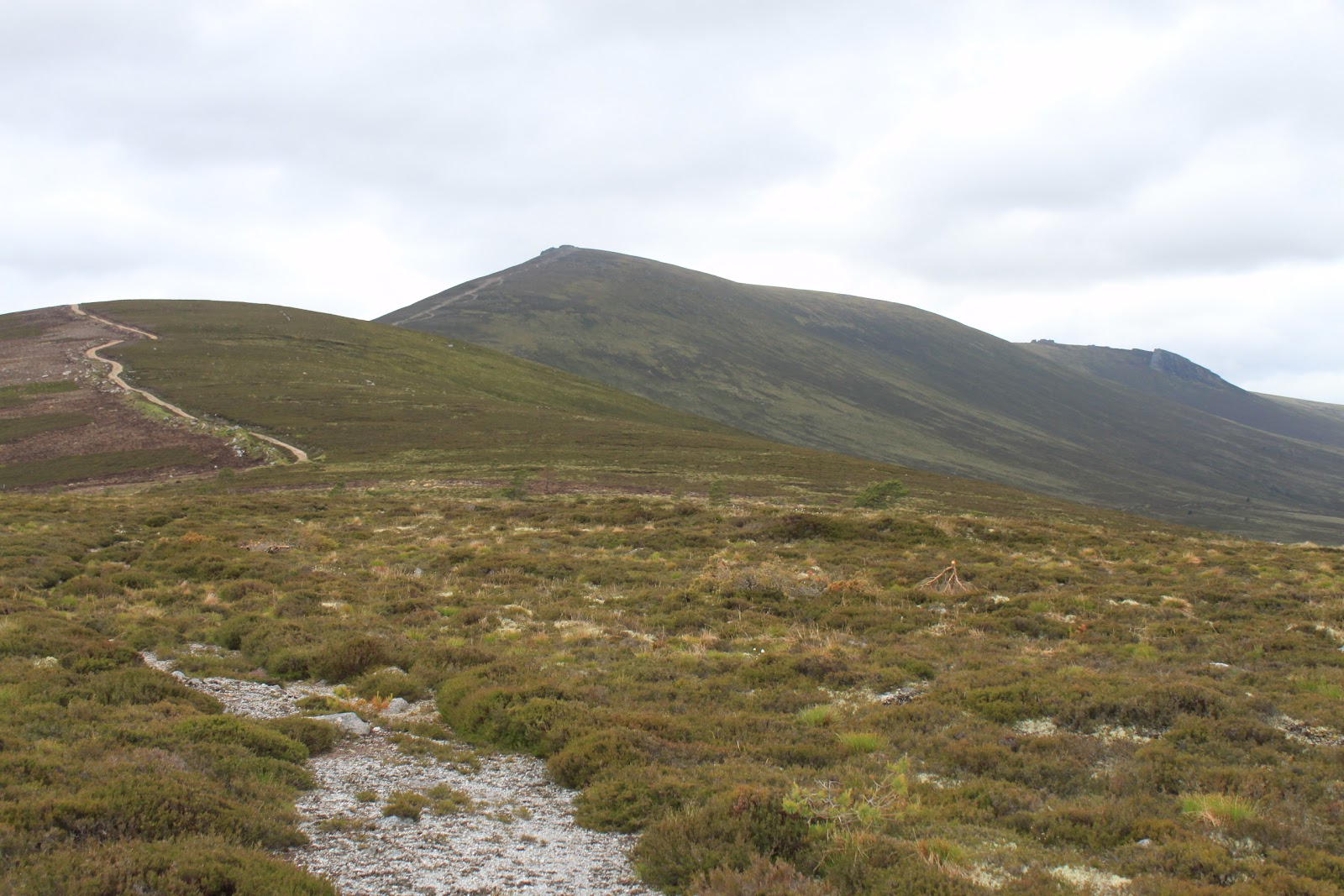 Walking in the North East of Scotland: Murrays on Tour - Ben Rinnes