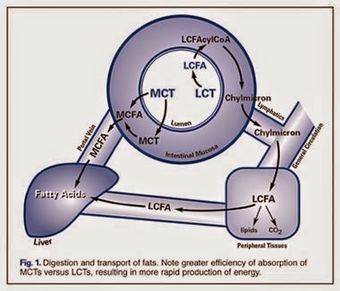 Clinical Use of Coconut Oil Source of MCT (Medium Chain Triglyceride ...