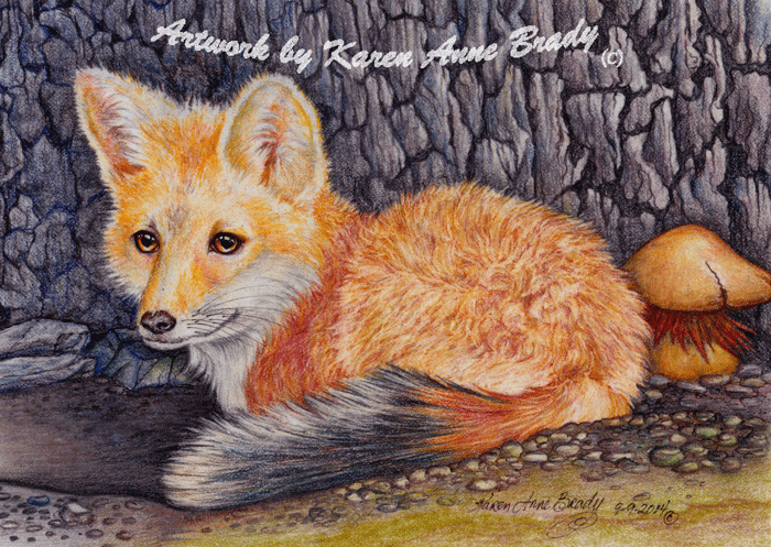 IrelandBrady - Musings To Ponder