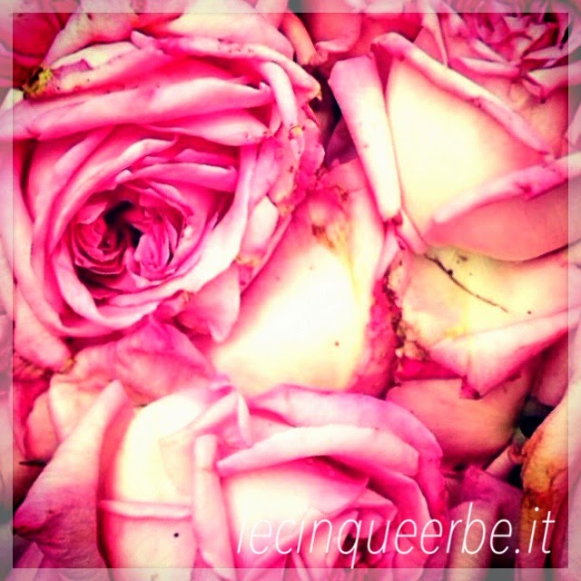 LE CINQUE ERBE: Lo Sciroppo di Rose