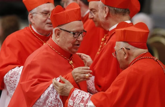 Rosa Rubicondior: Catholic Cardinal Warns Church Victims To Keep Quiet ...