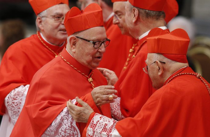 Rosa Rubicondior: Catholic Cardinal Warns Church Victims To Keep Quiet ...