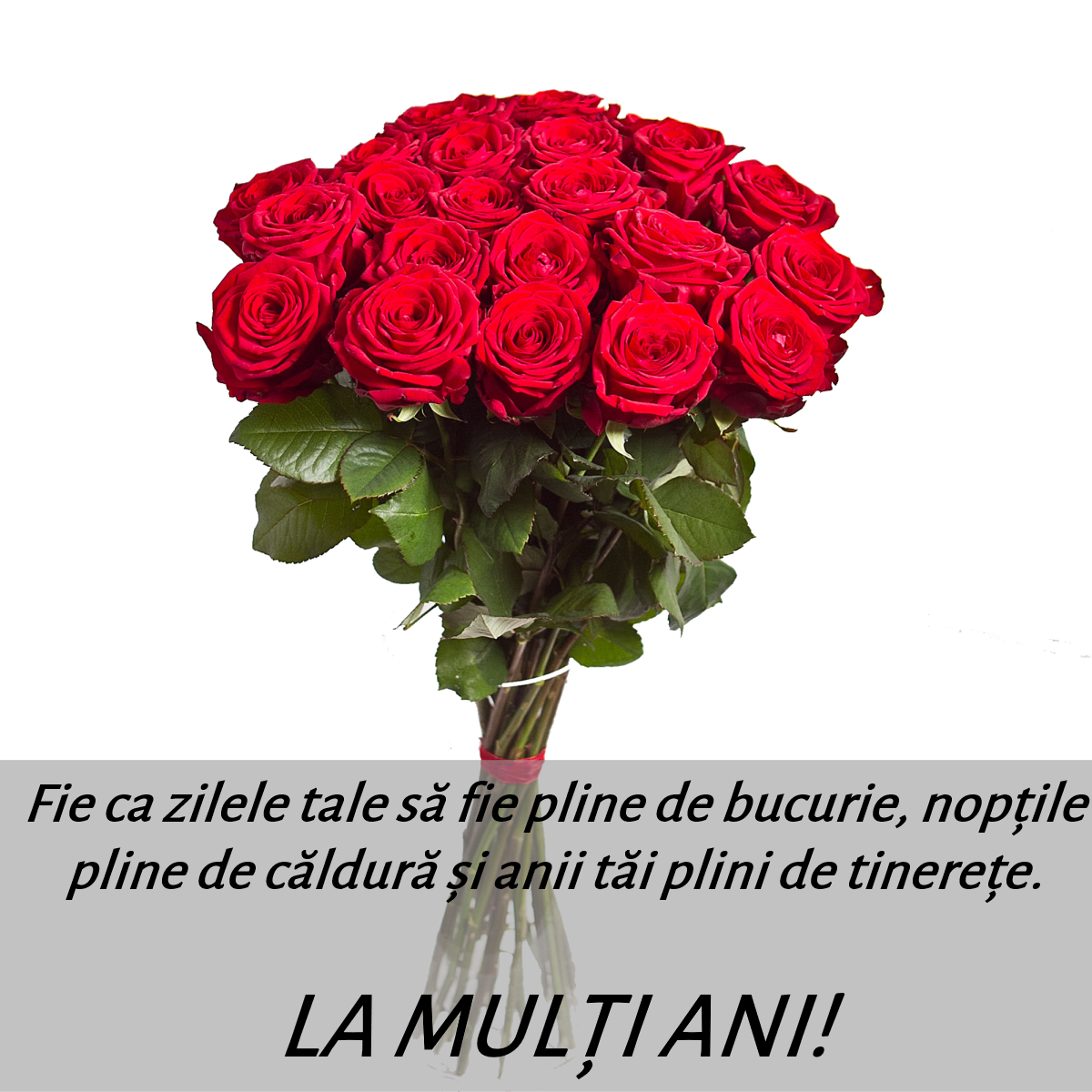 Felicitari, Mesaje si Urari: Felicitari de ziua de nastere