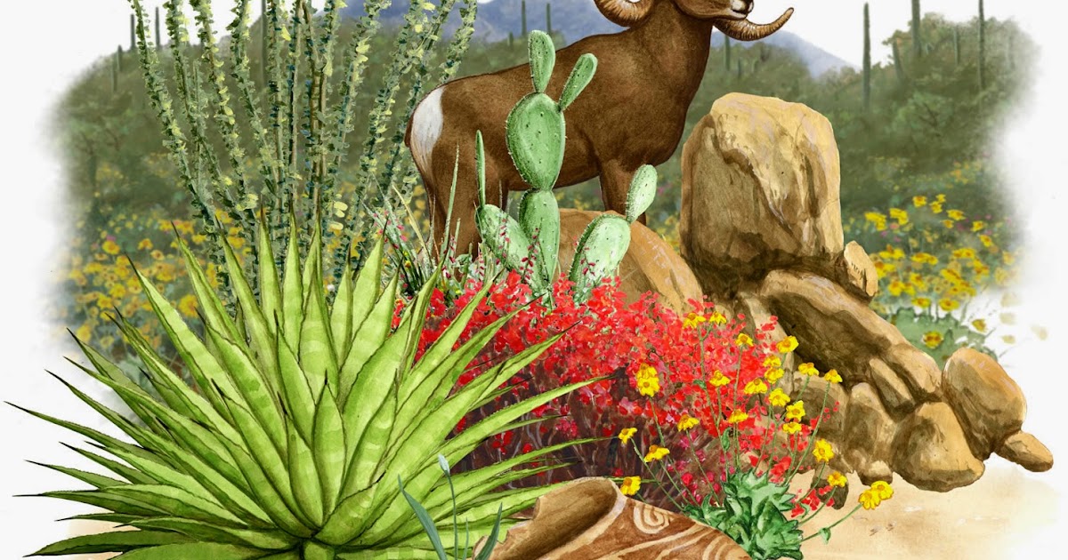 Bill Singleton: Sonoran Desert Conservation Plan