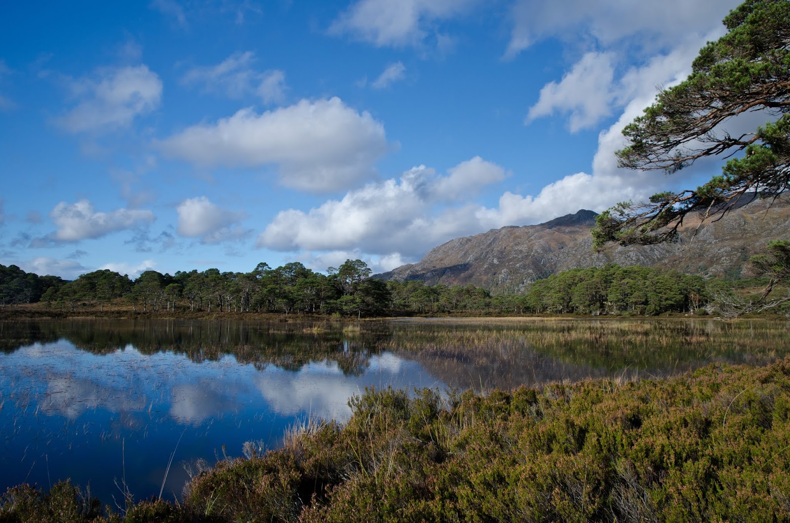 Mountain and Sea Scotland: A loch within a loch, an island within an island