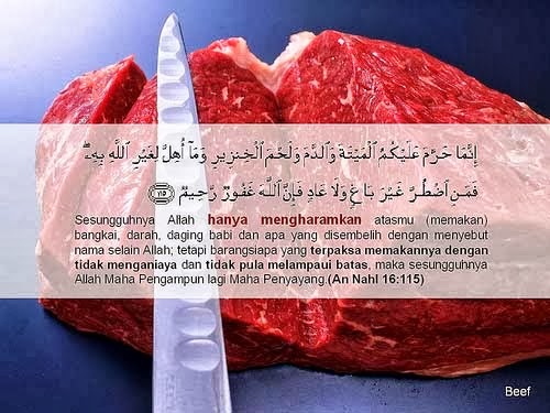 CATATAN HASANAH: 10 Alasan Ilmiah Babi Haram Untuk Umat Islam