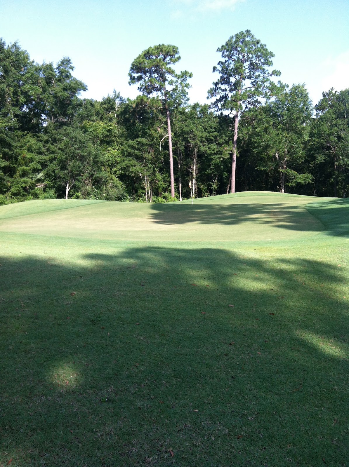 John K. Moore: Robert Trent Jones Golf Trail at Magnolia Grove (Short)