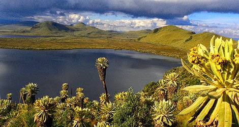 RESERVA ECOLÓGICA EL ÁNGEL