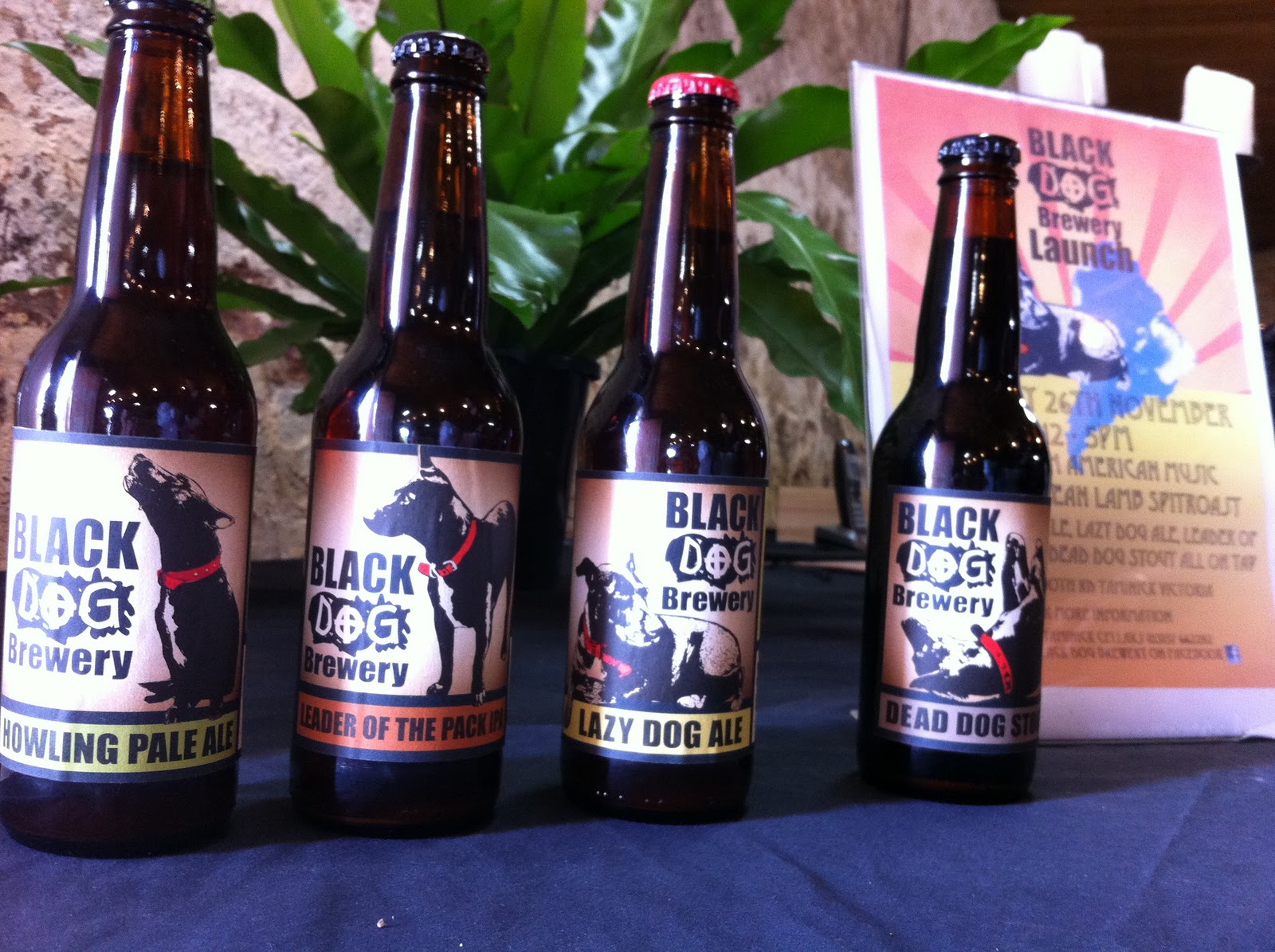 beer o'clock: The Launch of Black Dog Brewery (A Howling Success).