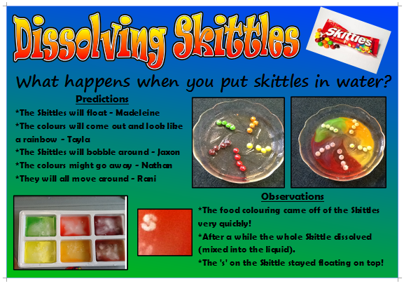 Room 17 - Russley School - 2014: February 2014