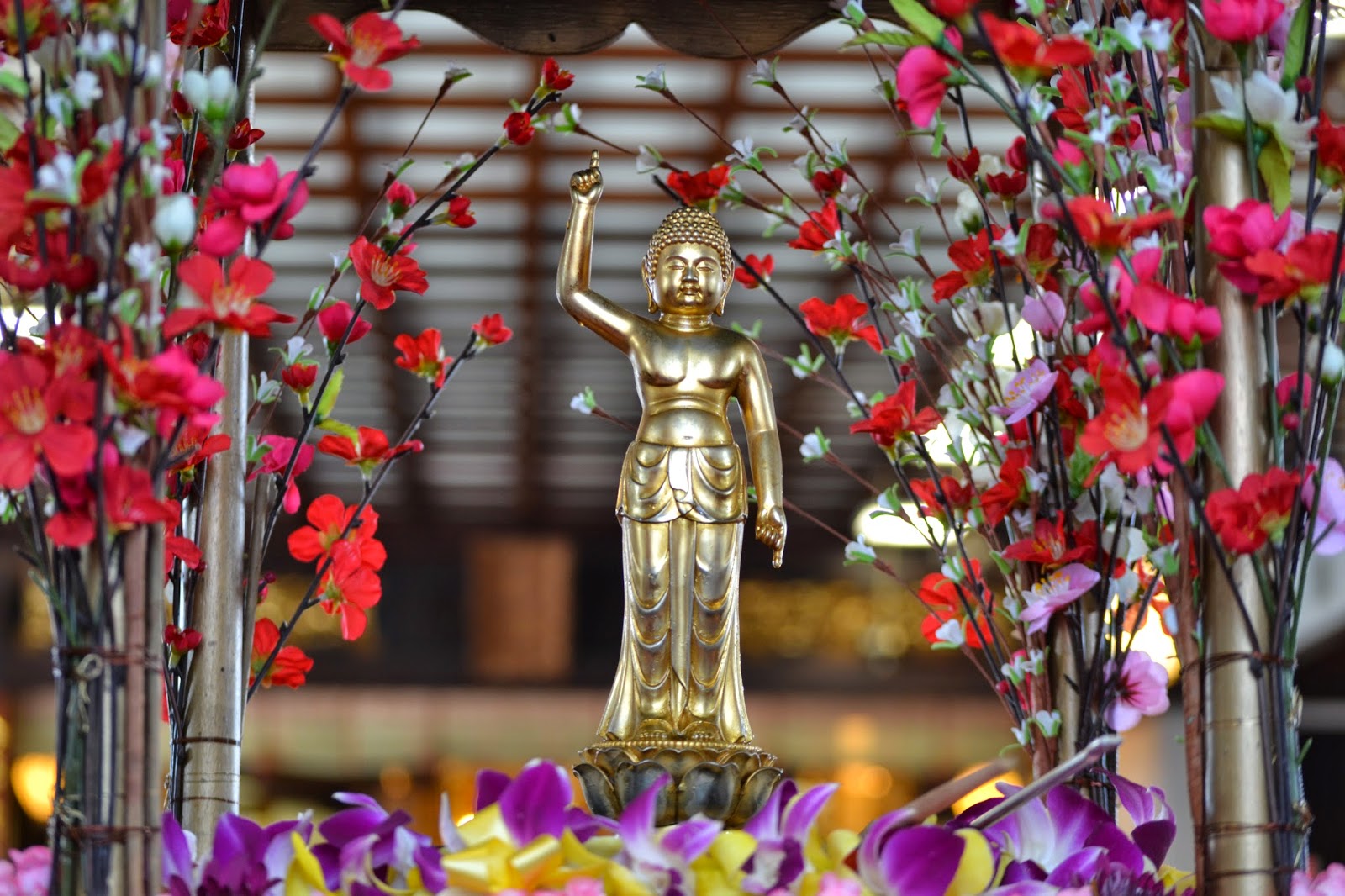 Buddha Day 2014 (Hanamatsuri)