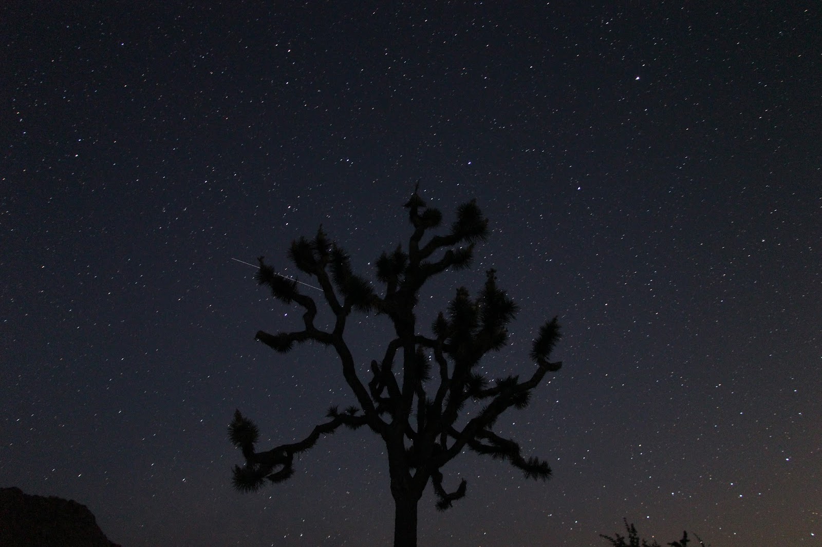 30 Days In Joshua Tree