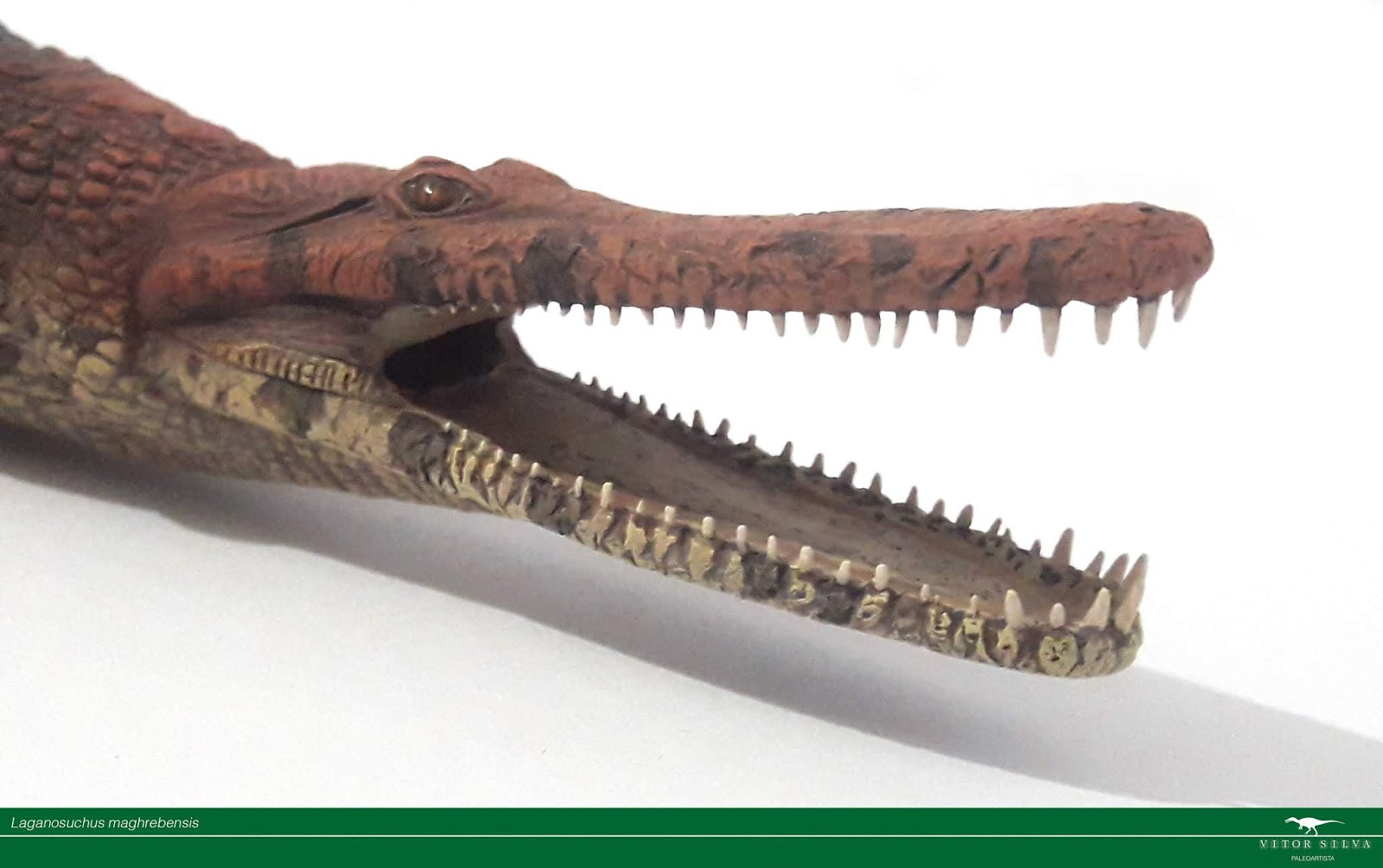 Vitor Silva - Paleoartista: Laganosuchus