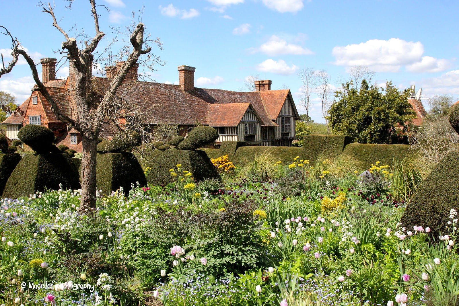 Madelief: In the spring garden