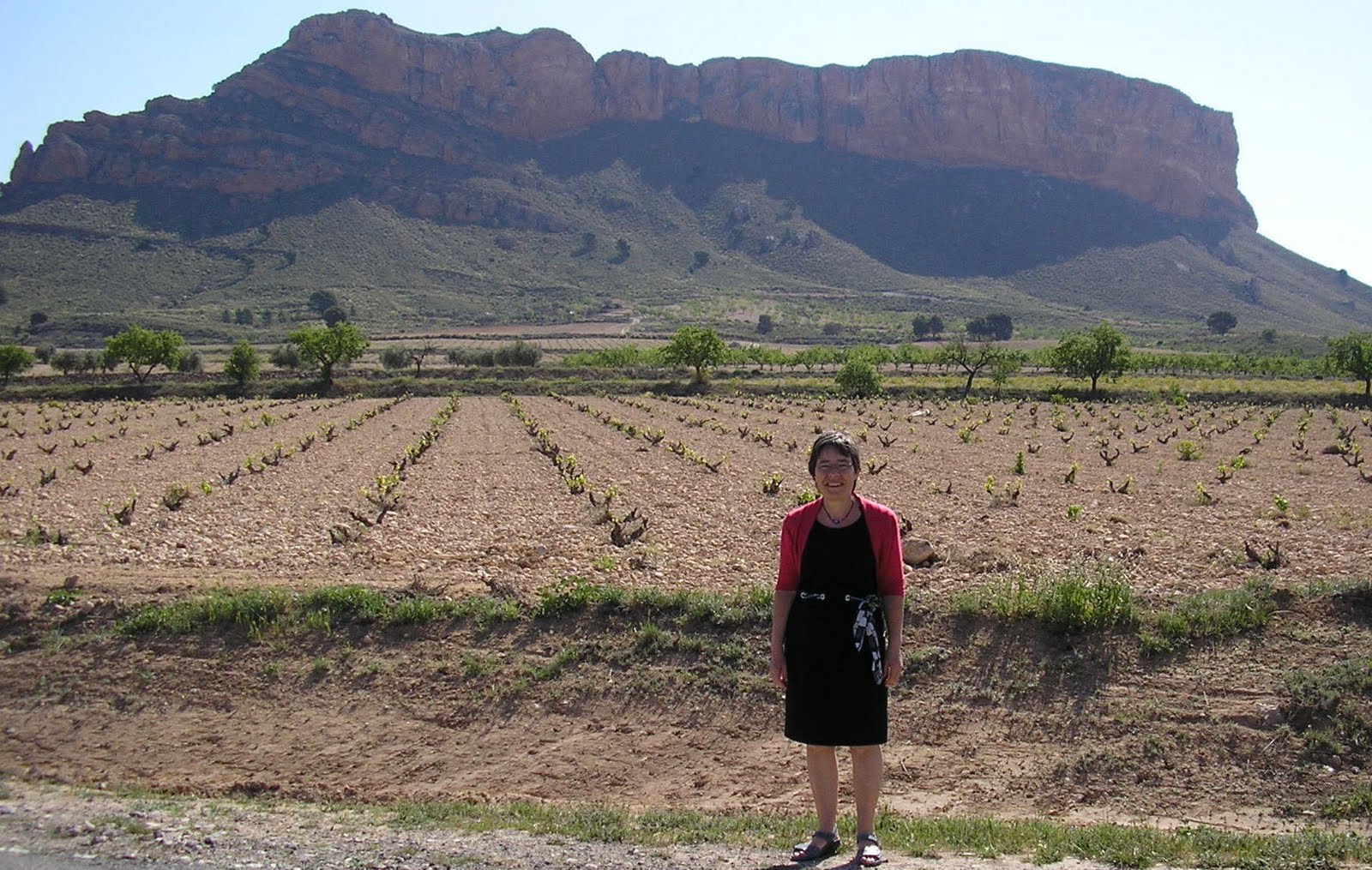 Jumilla, Spain: 5,000 years of growing grapes and making wine