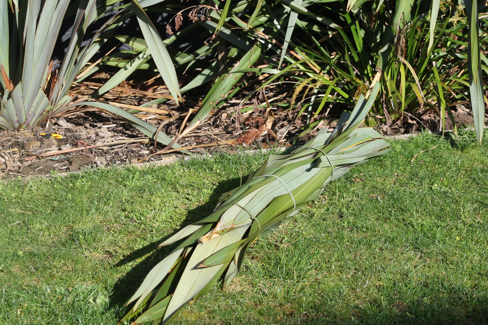 EcoMaori: Raranga at Te Manawa