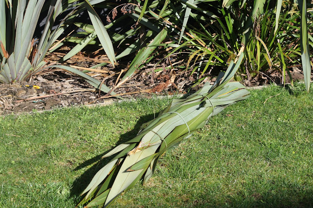 EcoMaori: Raranga at Te Manawa