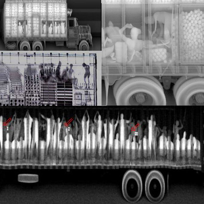 Tecnicos Radiologos: ¿Cómo funciona un escaner de rx para camiones?