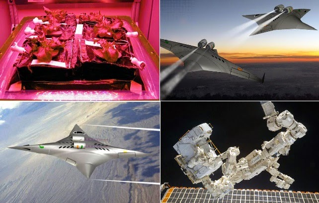 Find Anything You Want: Most Bizarre Projects Made by NASA