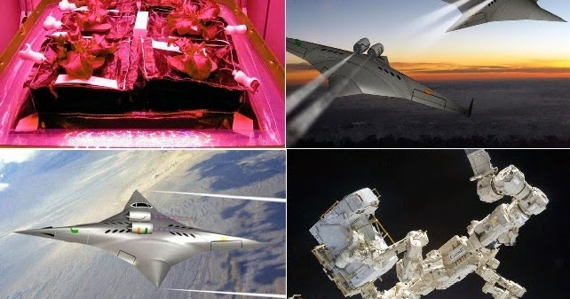 Find Anything You Want: Most Bizarre Projects Made by NASA