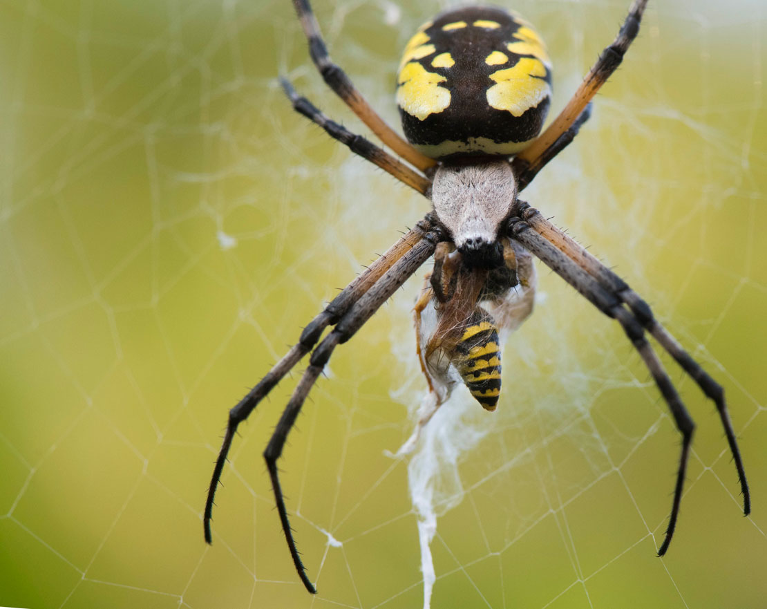 Robin Loznak Photography: 2017