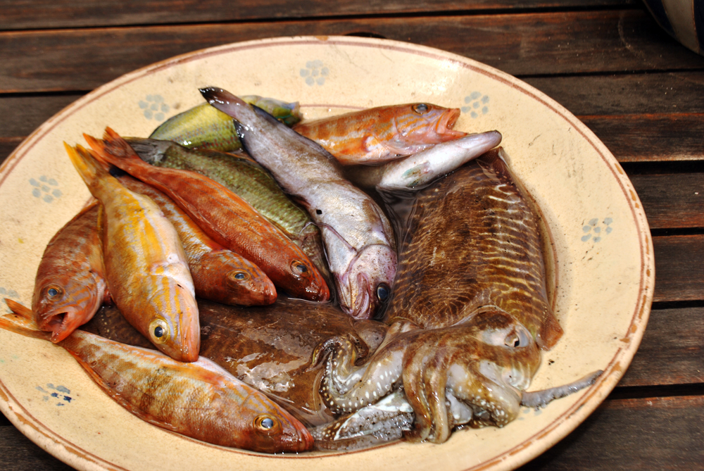 Sud Italia in Cucina: Pasta col Pesce alla Marinara
